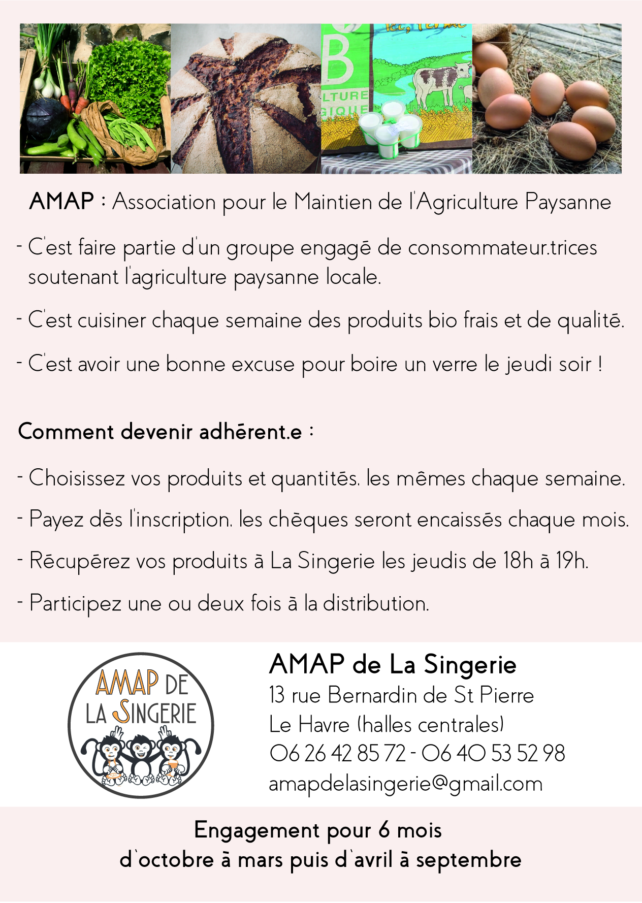 AMAP de la singerie – La Petite Surface